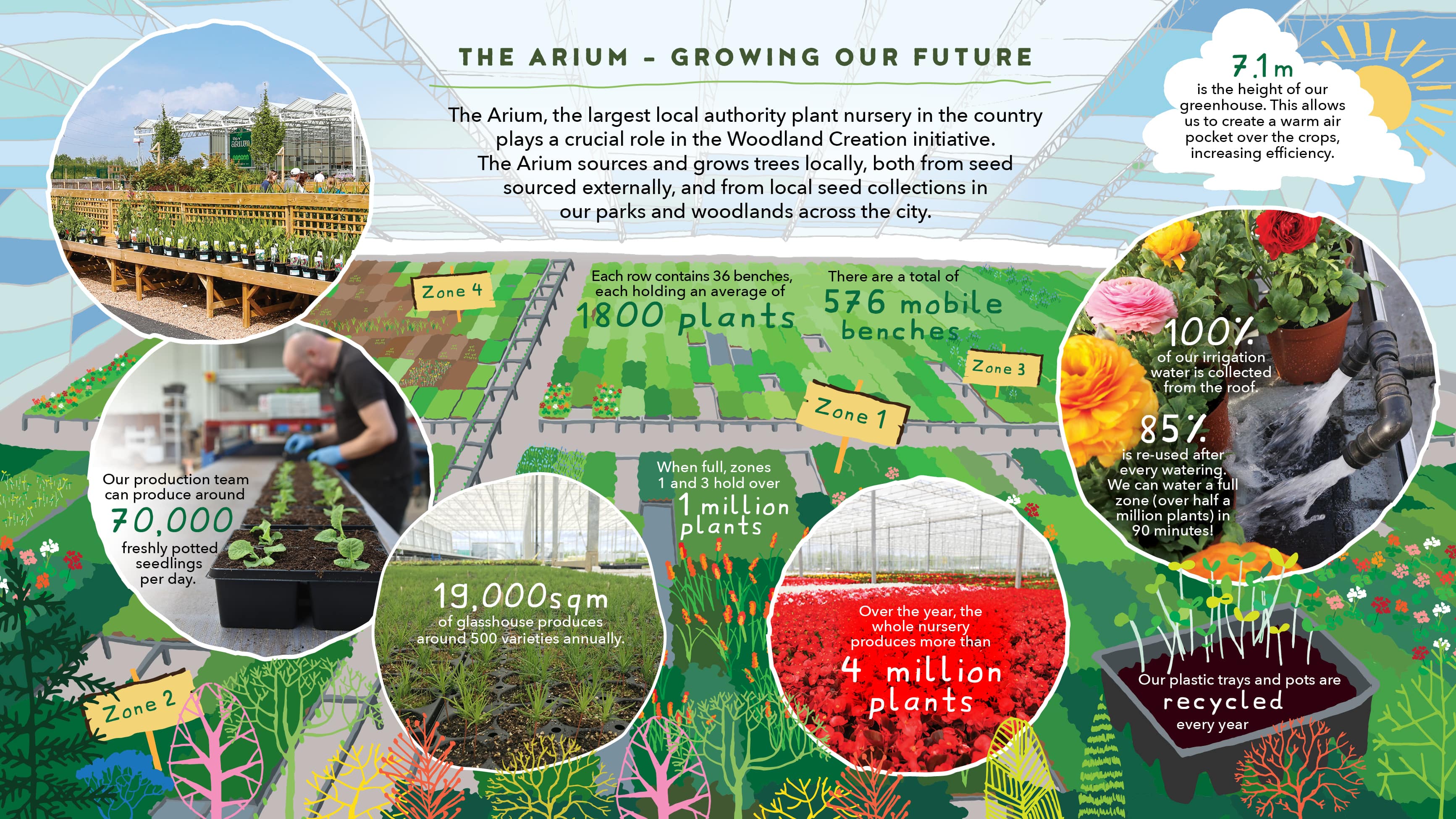 Woodland Creation | Seed Gathering | Leeds Parks Nursery